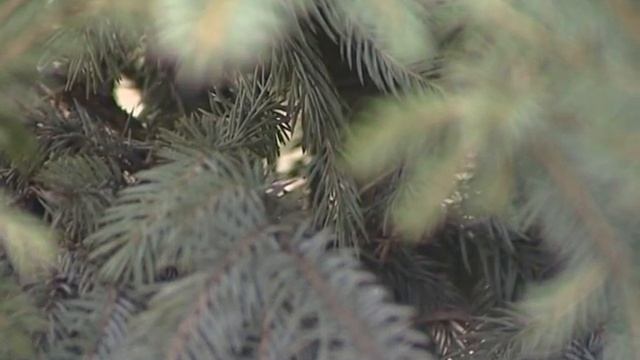 Выпуск новостей "Наше время. Астрахань", 23.02.2007