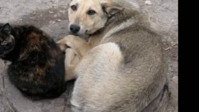 Выпуск новостей "Наше время. Астрахань", 19.02.2011