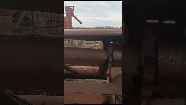 Жатка 
Подборщик
Дон Нива экспресс-обзор от Константина Велигодского