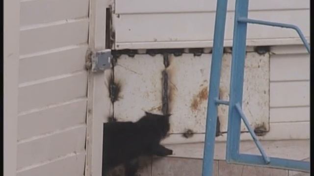 Выпуск новостей "Наше время. Астрахань", 16.03.2007