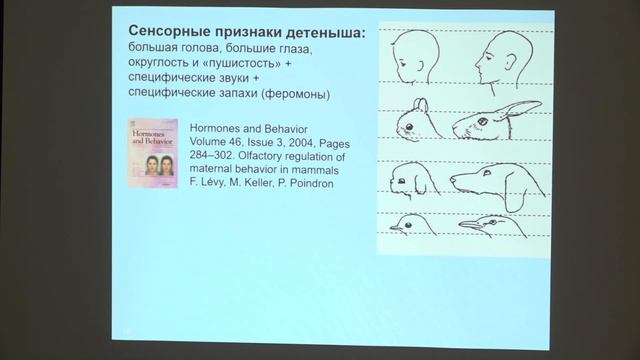 Дубынин В. А. - Физиология потребностей - 5. Детско-родительское взаимодействие