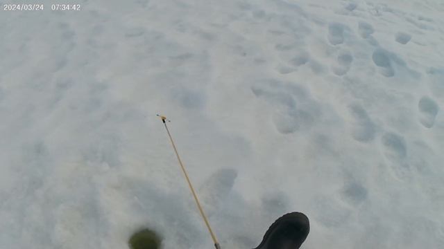 Первая весенняя зимняя рыбалка у деревни Ряжик 24 03 2024