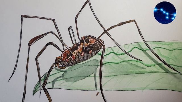 Сенокосец. Л. Чудинова