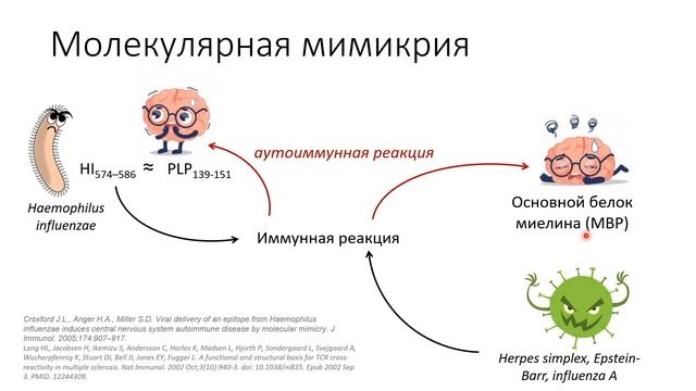 Правдивцева Е. С. - Физиология и современная медицина. Цикл научных докладов - Лекция 6