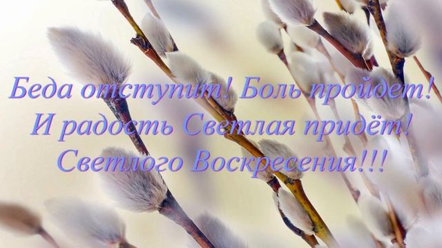 С Вербным Воскресением! Светлого праздника! | Happy Palm Sunday! Happy holiday!