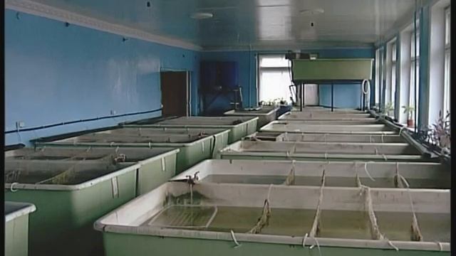 Выпуск новостей "Наше время. Астрахань", 14.11.2006