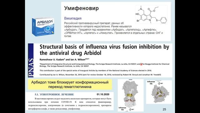 Дубынин В. А. - Физиология иммунитета - 10. Грипп и коронавирус