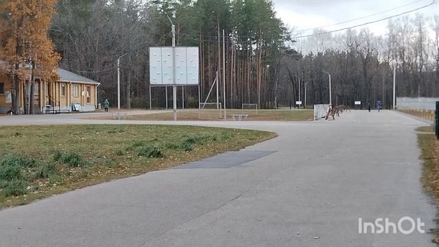 2.11.2024 Прогулялись на Биатлон через поселок Рыбацкий