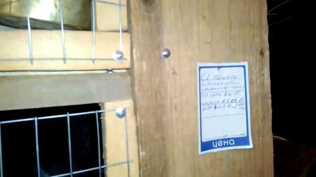 Табличка на клетки для кроликов. Информация. Учет