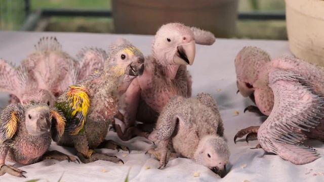 855554-hd_1920_1080_25fps