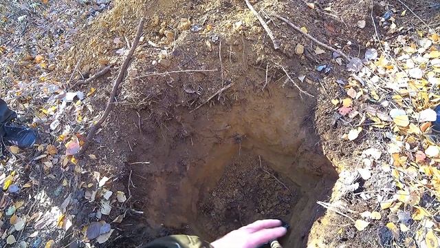 Охота на барсука//охота с Ягдтерьером // Badger Hunting with a Jagdterrier