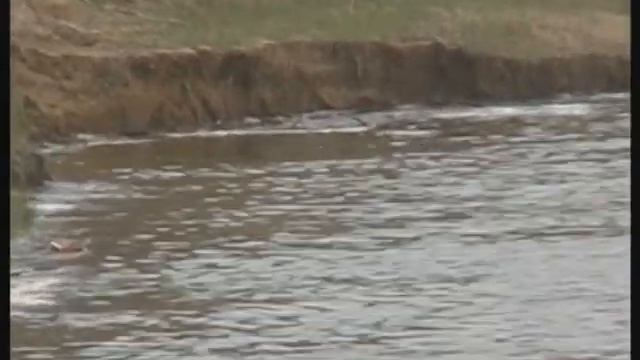 Выпуск новостей "Наше время. Астрахань", 16.02.2006