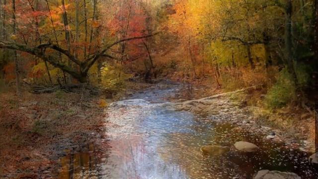 Secret Garden - Canzona