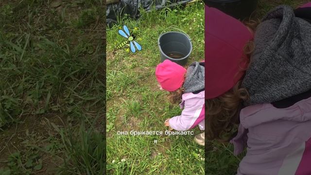 #дача #отдых #деревняКожино