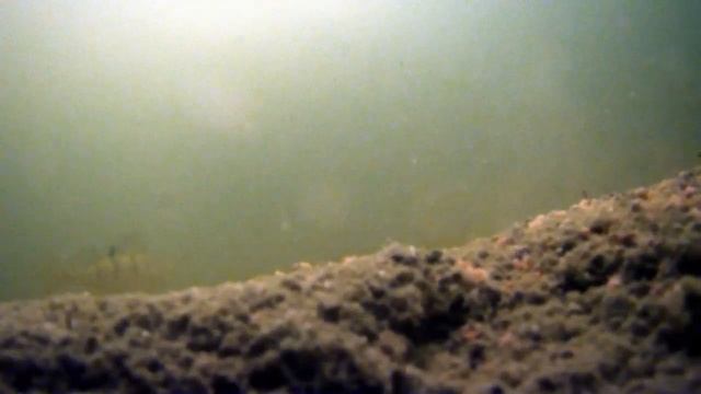 Палатка  куб 3 Медведь трехслойная Первое испытание на зимней рыбалке