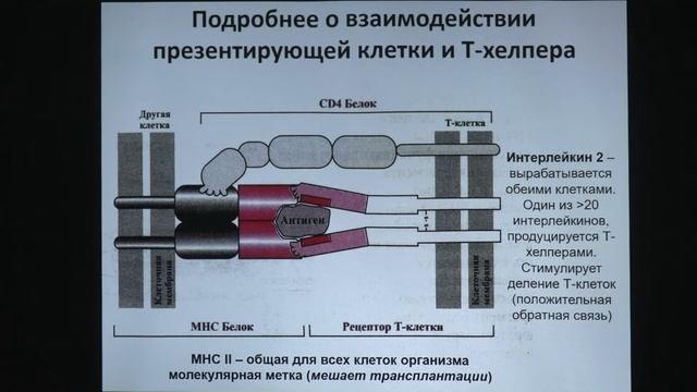 Ловать М. Л. - Физиология человека и животных. Часть 2 - 11. Кровь