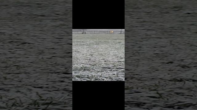 Первый снег Казань#shorts