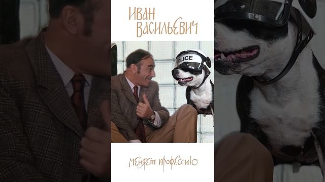 Собака полицейский в кино 🎭 #кино #фильм #комедия #полиция #милиция #собака #стафф #животные #staff