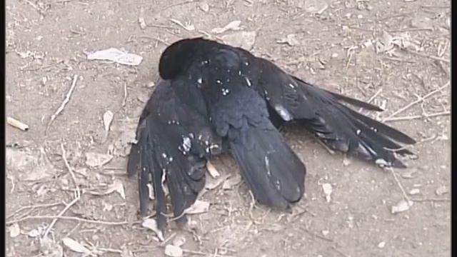 Выпуск новостей "Наше время. Астрахань", 14.02.2006