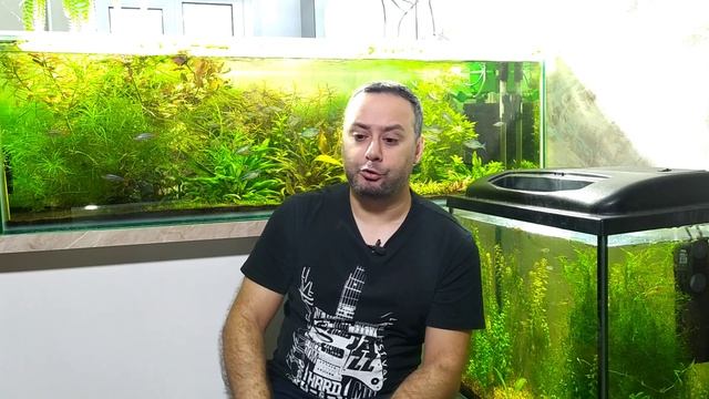 Осень 2024. Рыбные новости