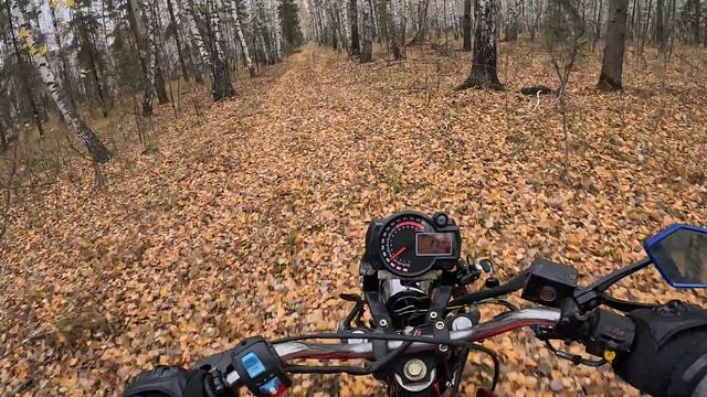 GoPro12 с Angree Girl поиски поворота