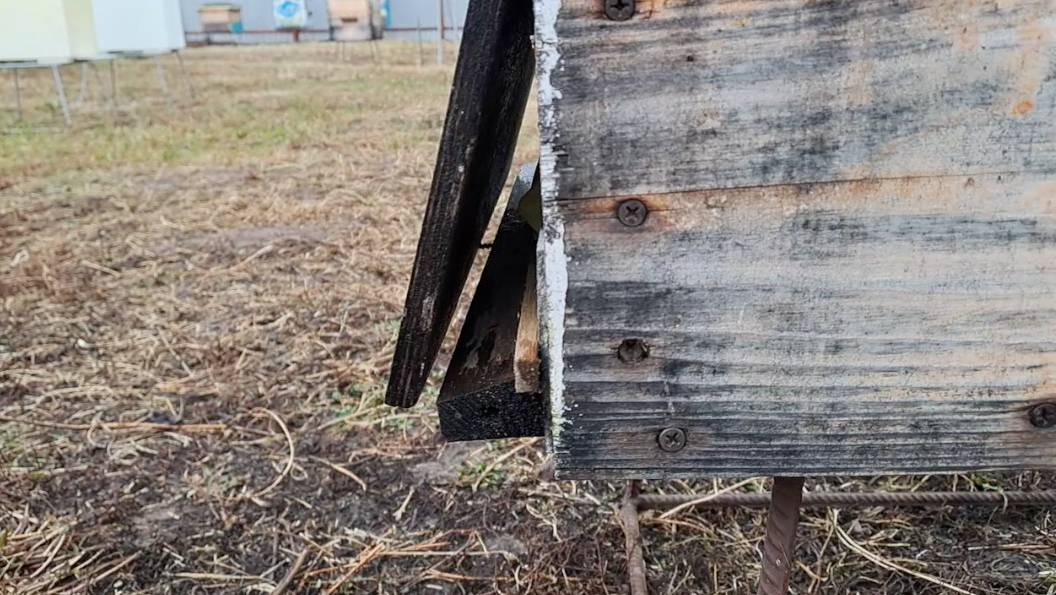 Защита летка на зиму от ветра, снега и ледяного дождя