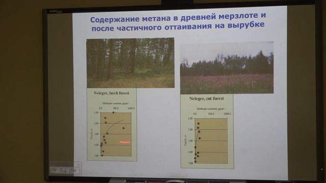 Брушков А. В. - Геокриология. Часть 1 - 13. Воздух, газы и органическое вещество в мёрзлых породах
