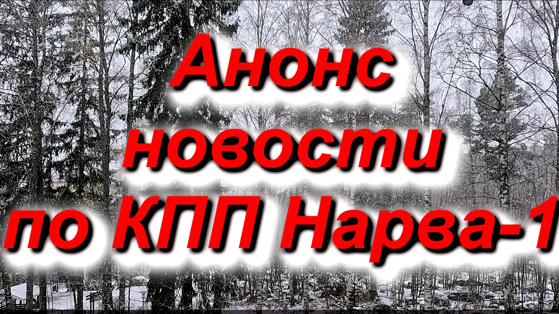 Анонс НОВОСТИ по КПП НАРВА-1 на зиму 2024-2025. И как у нас валит снег #Narva #граница #Нарва #кпп