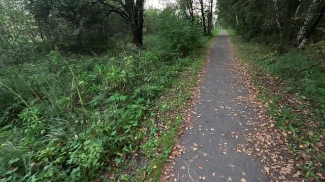 Дорожка тропинка