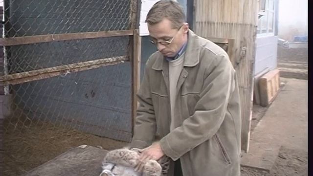 Выпуск новостей "Наше время. Астрахань", 19.12.2005