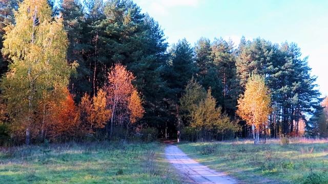 С ДНЁМ РОЖДЕНИЯ ДОРОГОЙ ИГОРЬ!