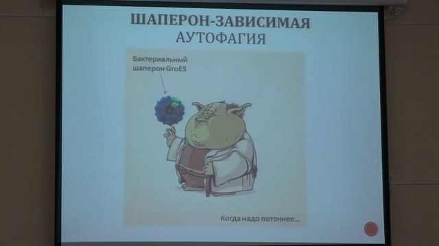 Лямзаев К. Г. - Структура и функция митохондрий- 7. Аутофагия: виды, участники, механизмы. Митофагия