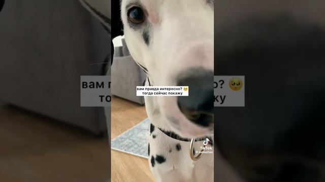 хотите покажу какой классный свитер мне подарили? #мем #тик-ток #тик-ток2024