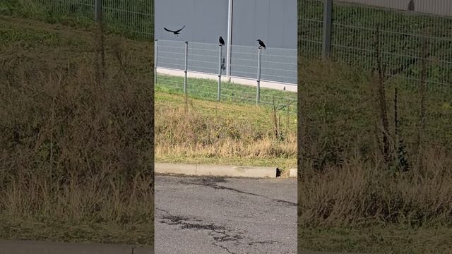 сваливаем нас вычислили...