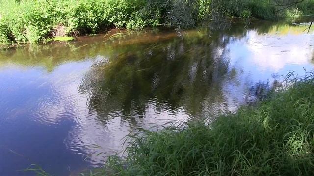 Гармония души. Стихи Оксаны Велк. Читает автор.