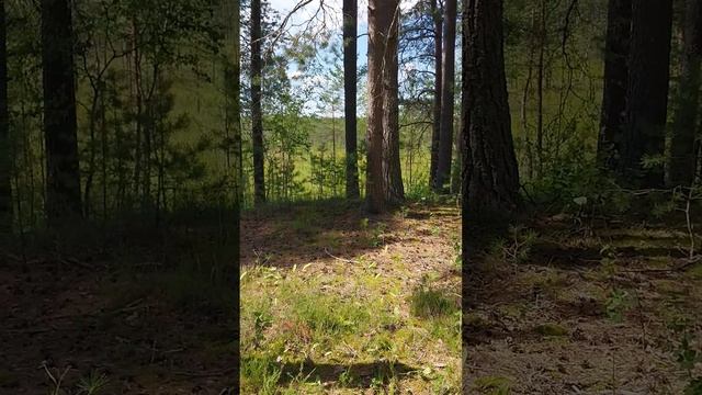 Мёртвое озеро.