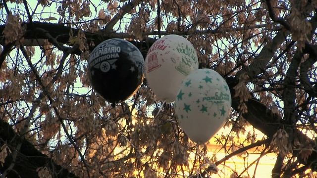 Осеннее настроение. Часть 19. #Short video