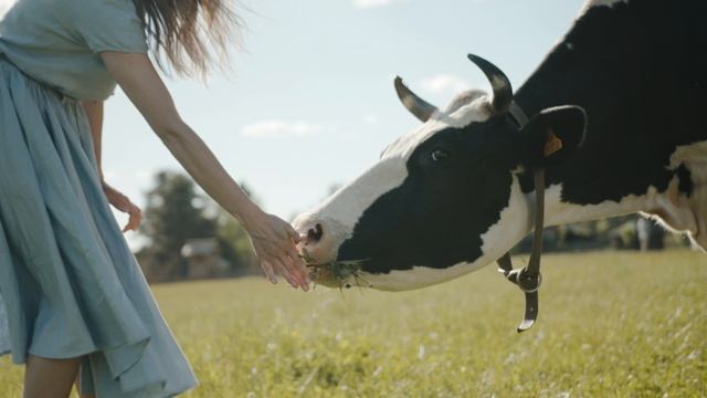 4919746-uhd_4096_2160_25fps