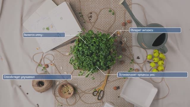 Реклама Vita Green / Advertising Vita Green