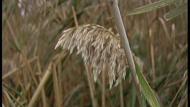 Выпуск новостей "Наше время. Астрахань", 16.10.2007