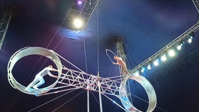 Побывали в цирк Виват... скоро сделаю полное видео.mp4