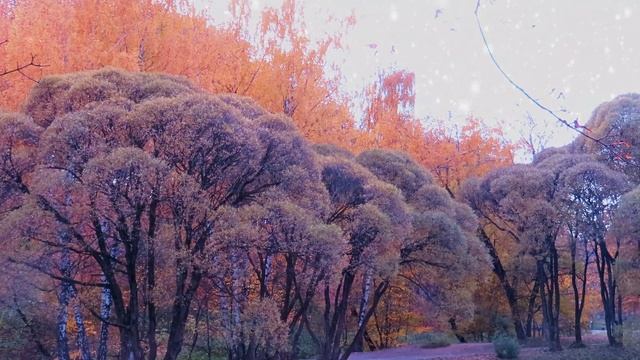 Покров Пресвятой Богородицы. Стихи Маргариты Мигуновой. Читает автор.