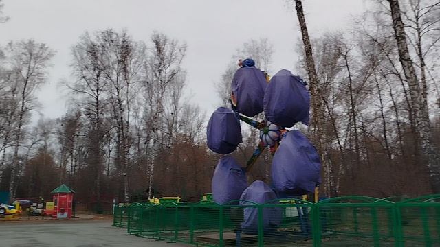 видео про берёзовую рощу