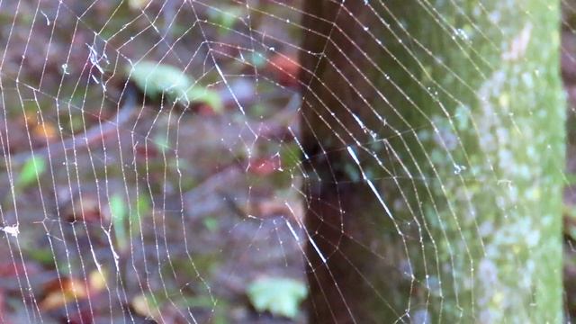 На Воздвижение Креста Господня... Стихи Маргариты Мигуновой