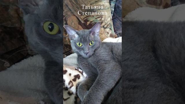 Бывает... Татьяна Степанова.