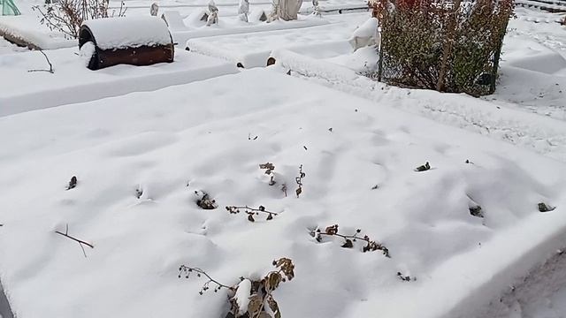 Едем на дачу🏡Мой Сад готов к зиме🌨👍😊