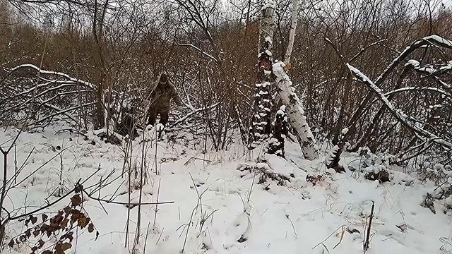 Охота с лайкой//Капкан на куницу