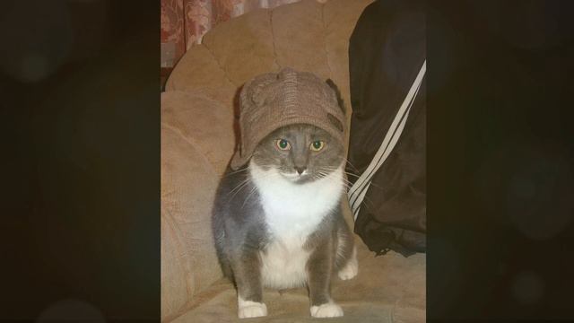 Памяти славного Бручика (с любовью и самыми добрыми воспоминаниями)