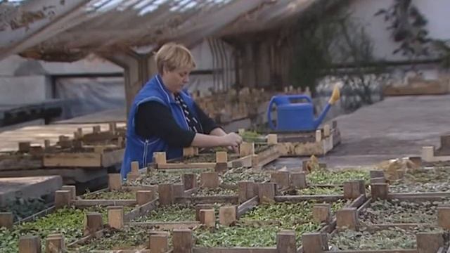 Выпуск новостей "Наше время. Астрахань", 17.01.2011