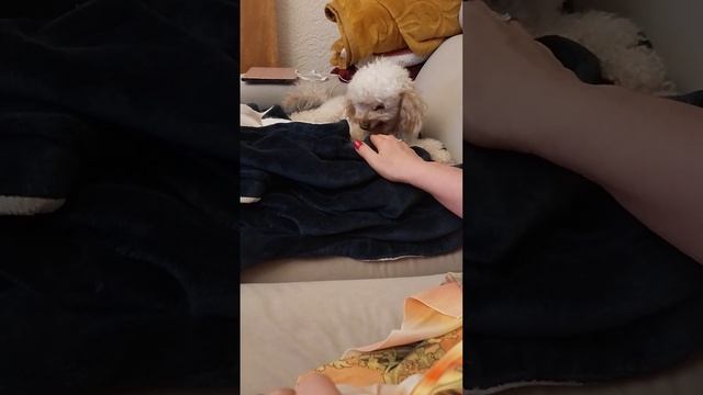 после ужина...